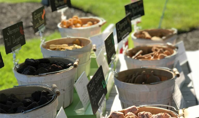 Lazy Labs Bakery - City of Fishers